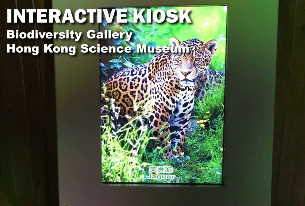 Biodiversity Gallery: INTERACTIVE KIOSK - SenMedia Limited